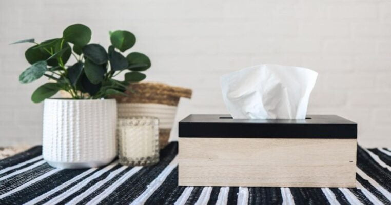 6 Rekomendasi Model Tempat Tisu Terbaik untuk Souvenir | Doran Souvenir