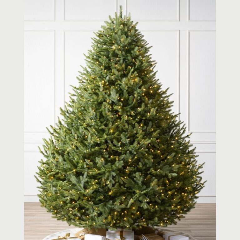 10 Jenis Pohon Natal, Mana yang Paling Cocok untuk Dekorasi?