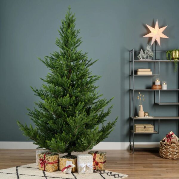 10 Jenis Pohon Natal, Mana yang Paling Cocok untuk Dekorasi?