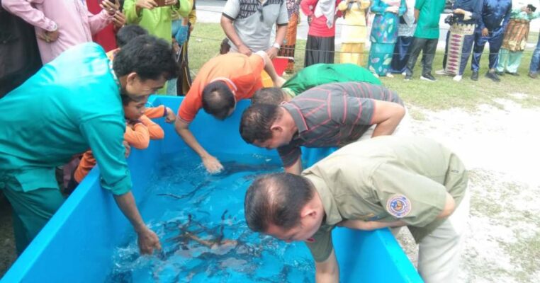 15 Rekomendasi Ide Lomba 17 Agustus yang Seru