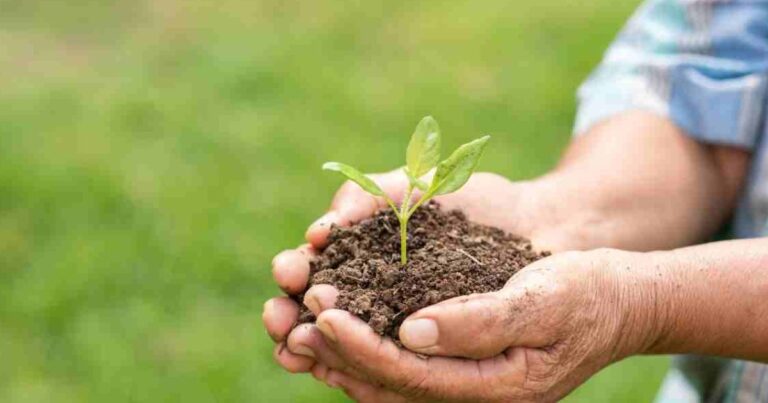 Apa Itu CSR? Temukan Tujuan dan Manfaat untuk Bisnis!